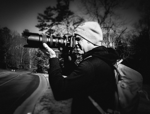 Gregory Canizzaro - Official Website